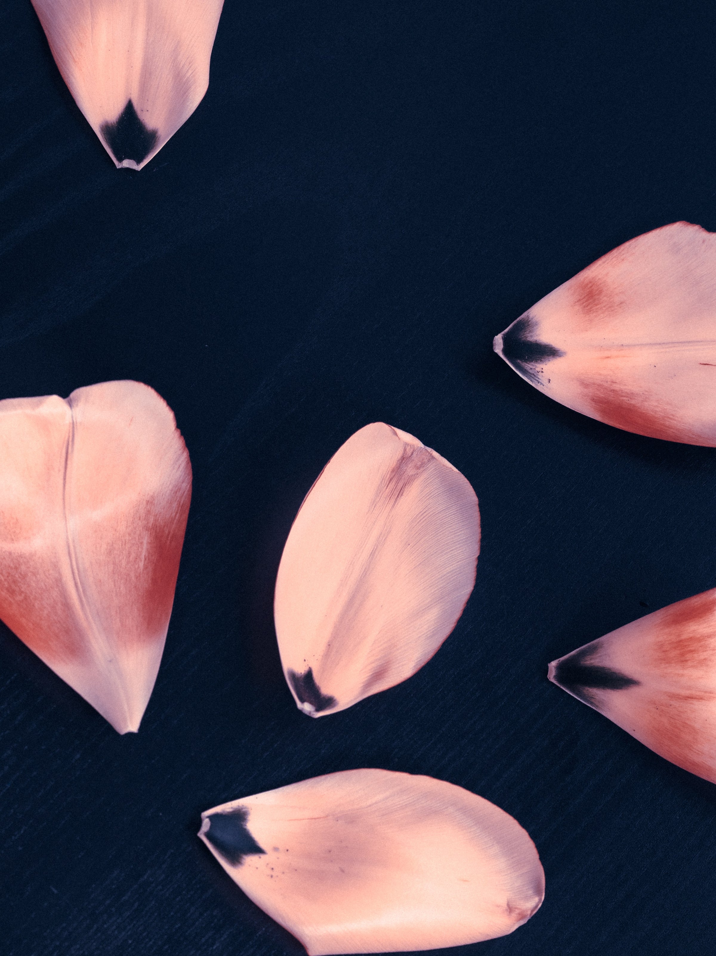 Saturday Box | Kink & Roleplay Adventures